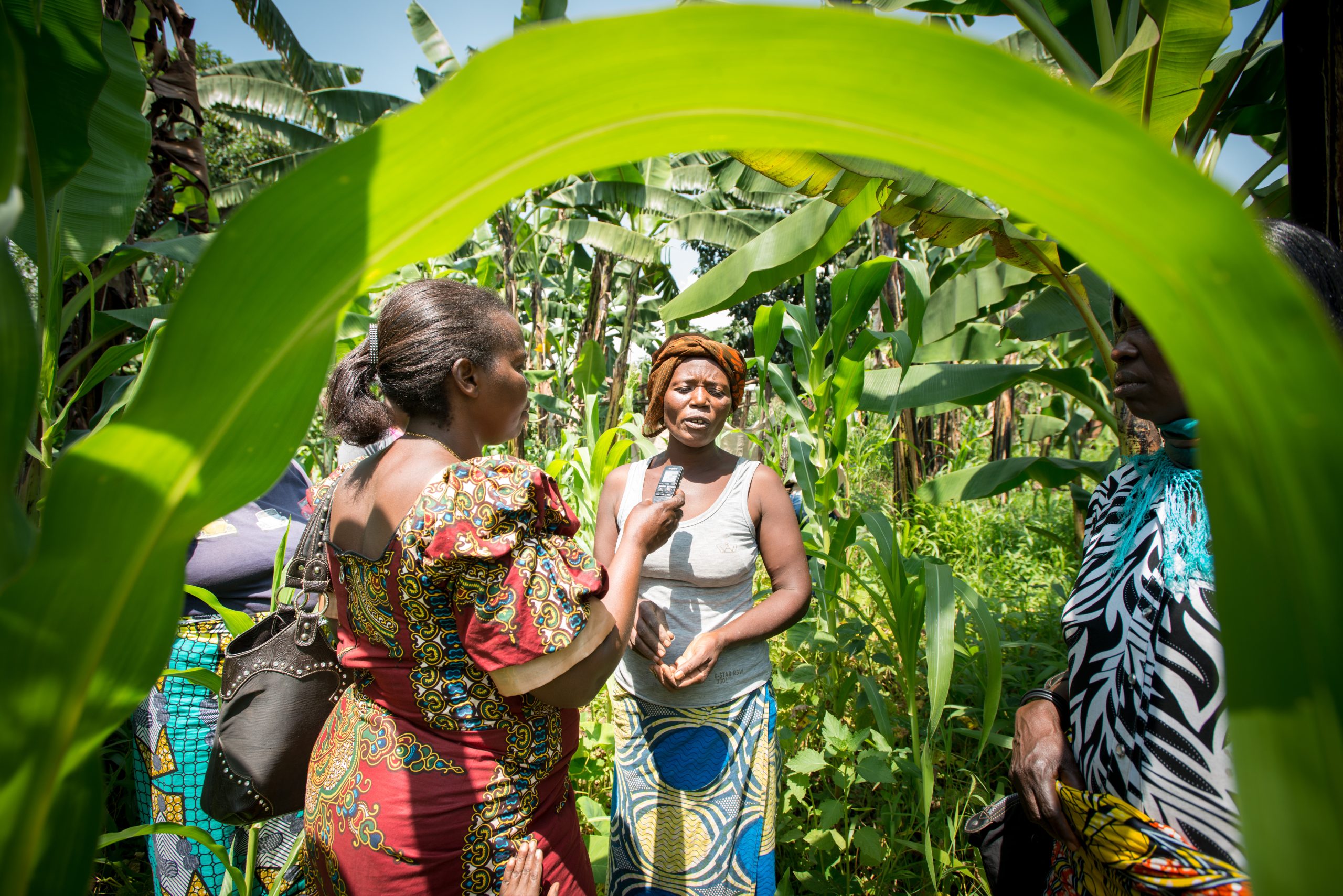 Collaborative Grantmaking - Eastern Congo Initiative